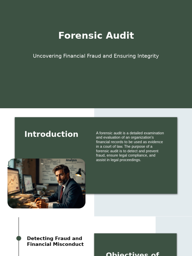 Forensic Audit | PDF