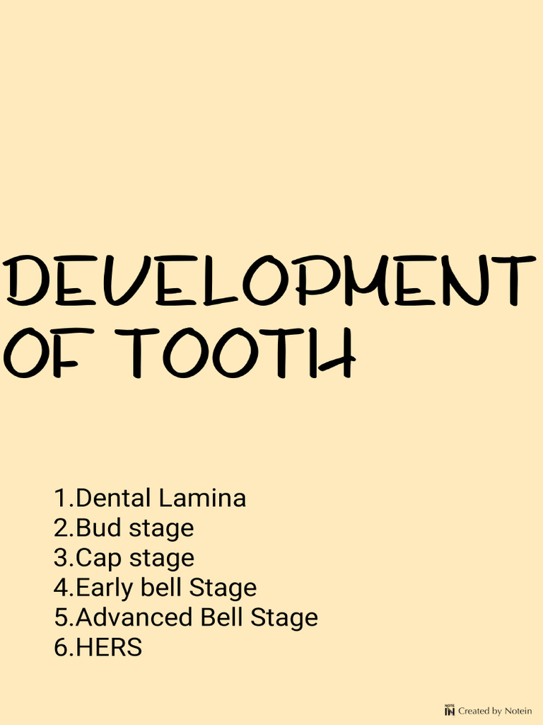 Development of Tooth Slides | PDF