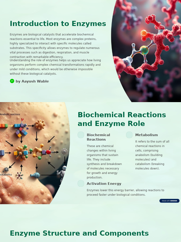 Introduction To Enzymes | PDF | Enzyme | Enzyme Inhibitor