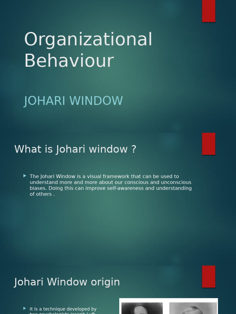 Organizational Behaviour | PDF | Self Awareness | Feeling