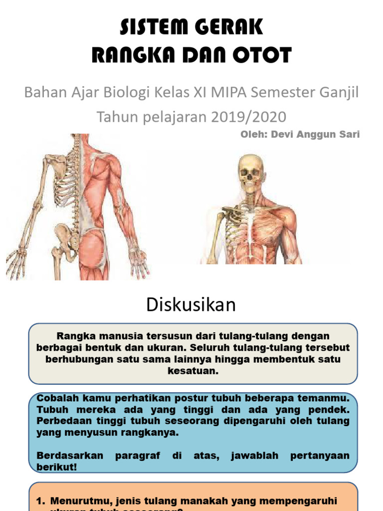 SISTEM GERAK rangka | PDF