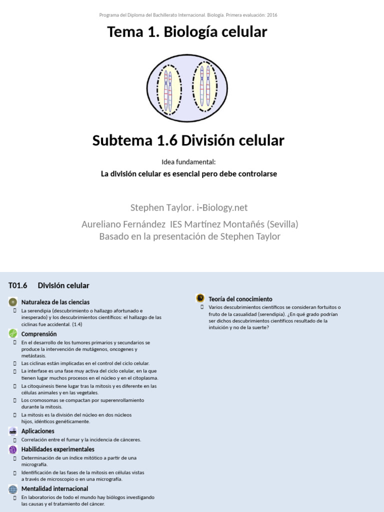 1 06 División Celular | PDF | Mitosis | Ciclo celular