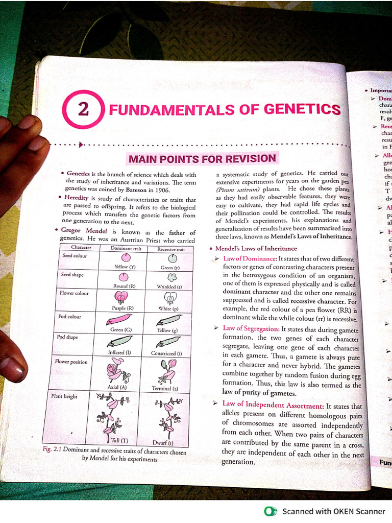 Bio CH 3 Question Bank PDF | PDF