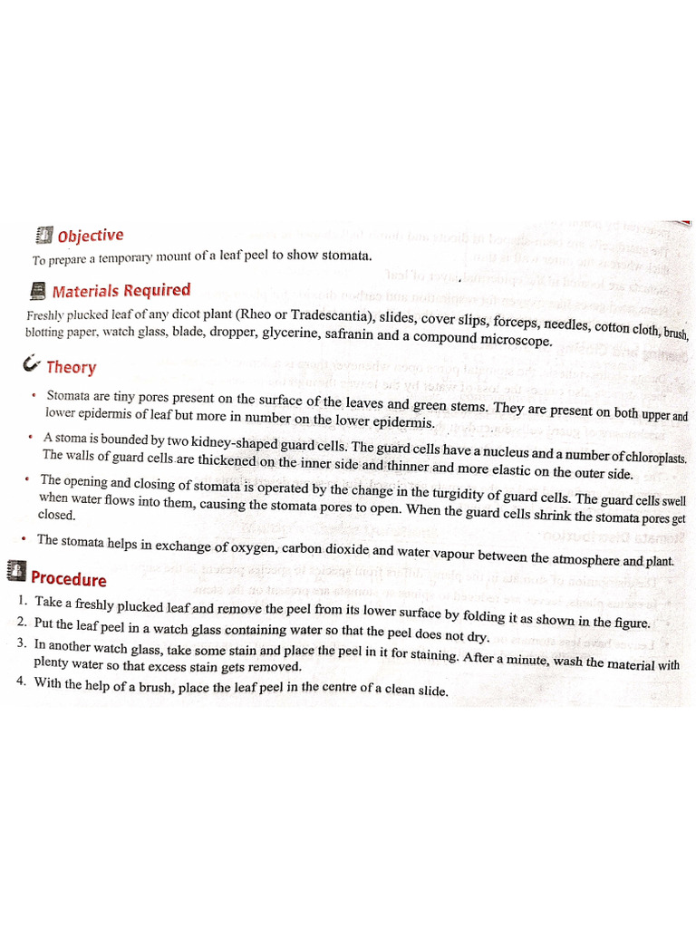 Biology Practicals Class 10 | PDF