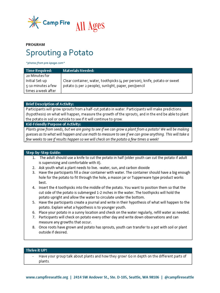 Spourting A Potato Activity | PDF | Potato | Water