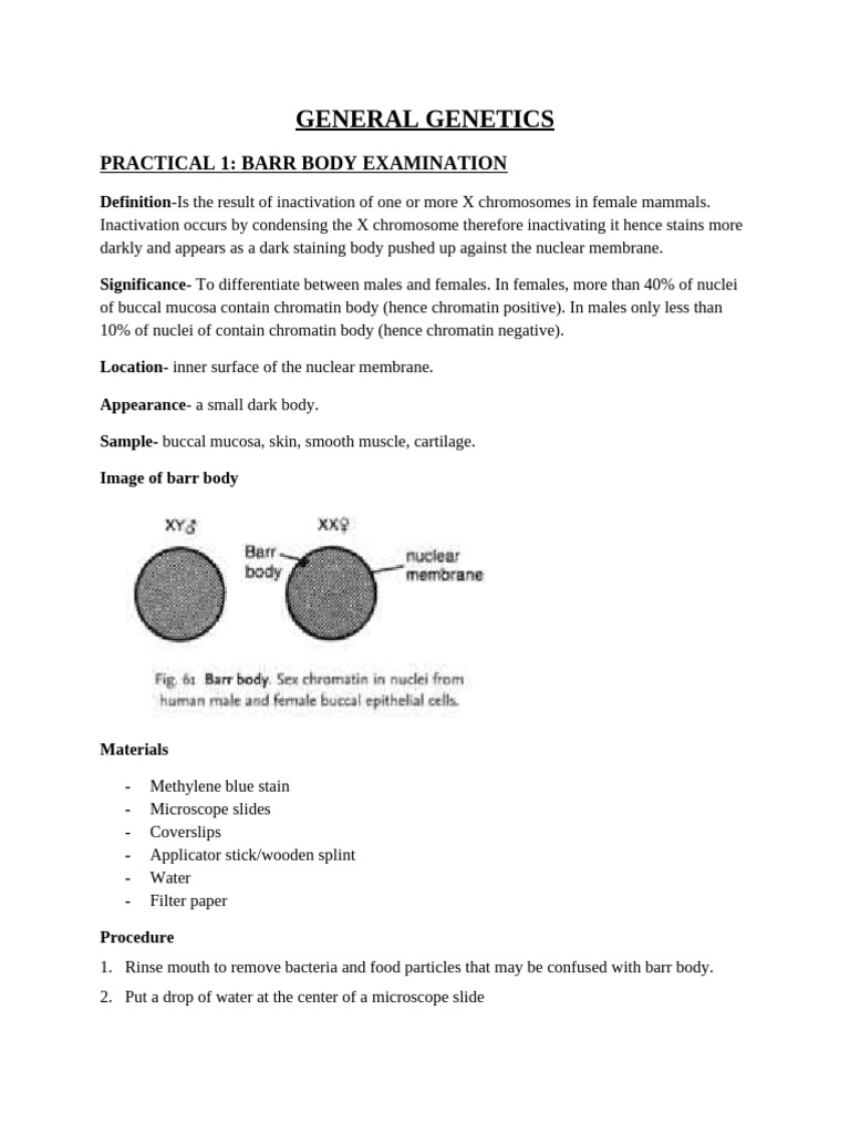 Barr Body Examination in Buccal Smear | PDF