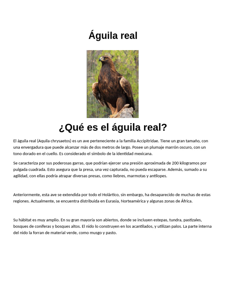 Águila Real | PDF | Migración de aves | Águila
