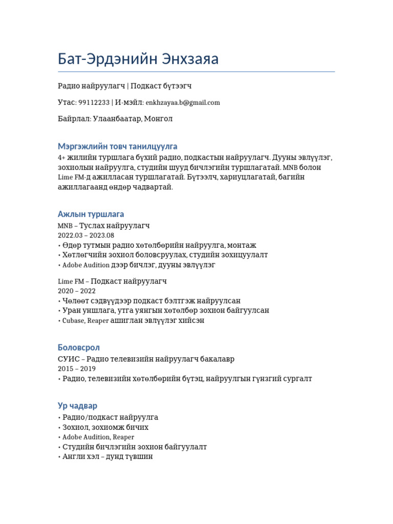 Radio Director CV Modern | PDF