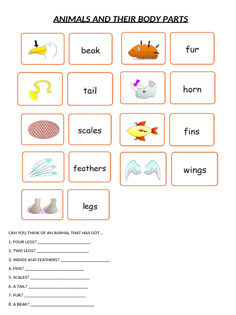 Animals and Their Body Parts | PDF