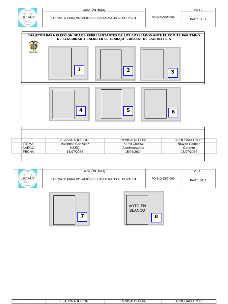Formato Tarjeton para Votación de Candidatos Al Copasst | PDF