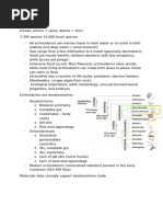 Sea Urchin Anatomy and Parts Guide | PDF | Anatomy | Zoology