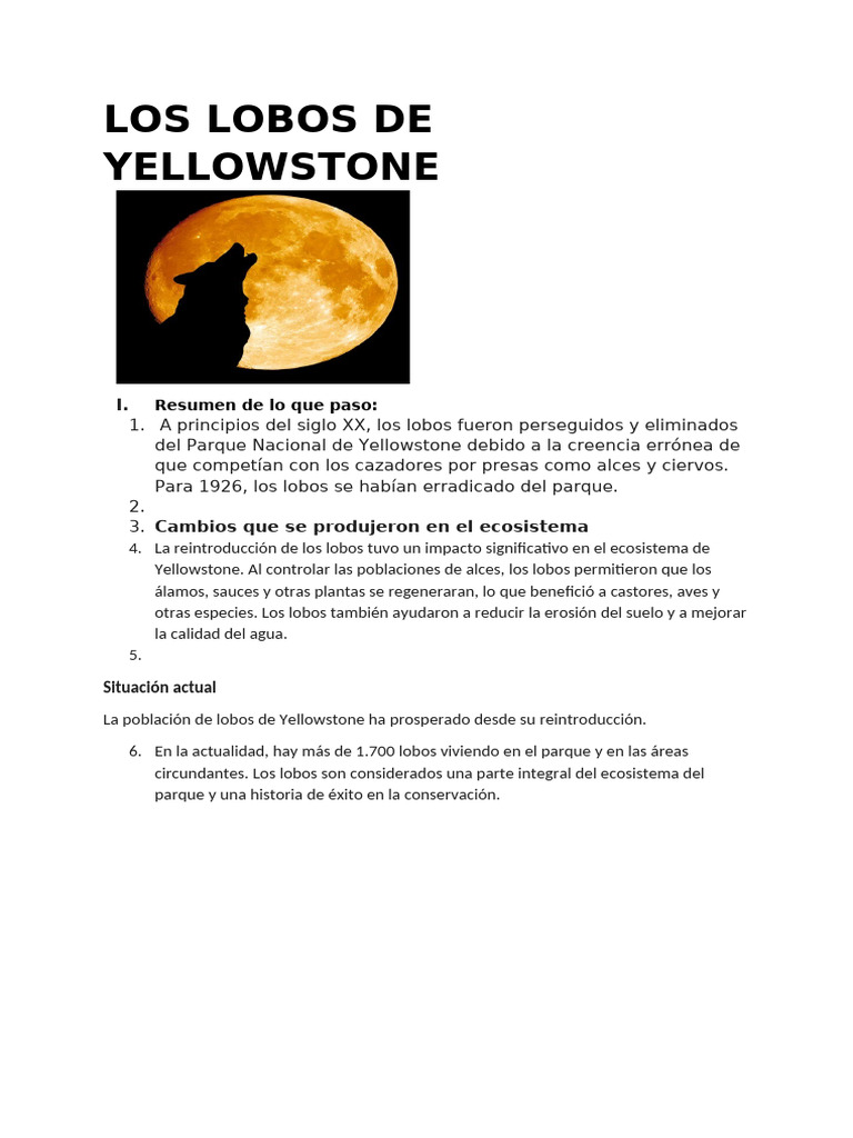 Los Lobos de Yellowstone | PDF