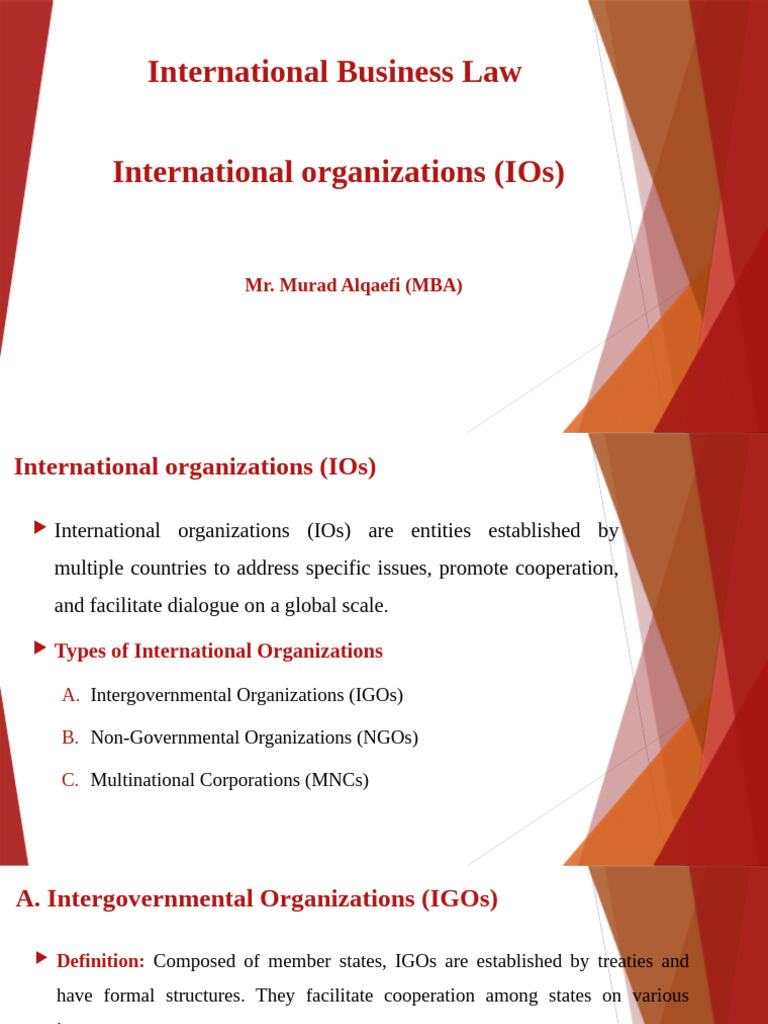 Overview of International Organizations | PDF | European Union | United ...