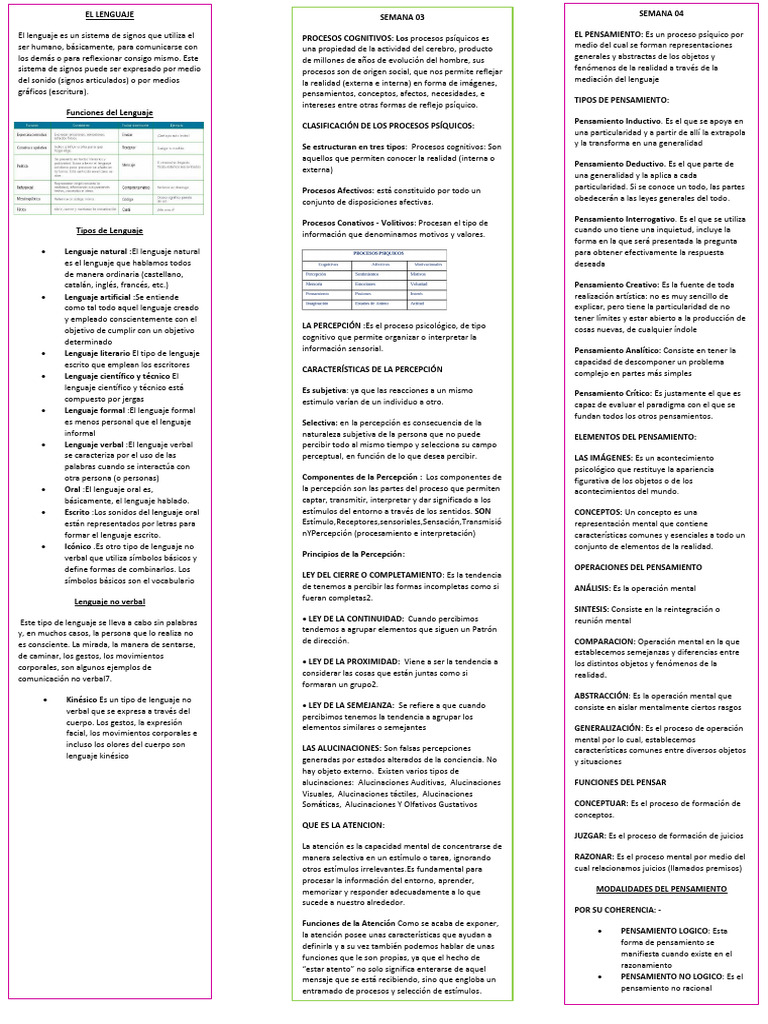 Examen 2 Sico | PDF | Sicología | Percepción