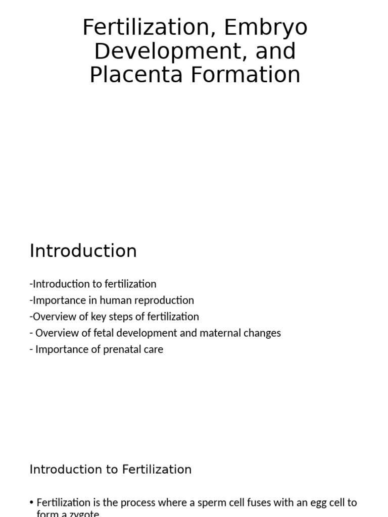 01) Fertilization | PDF | Placenta | Biological Processes