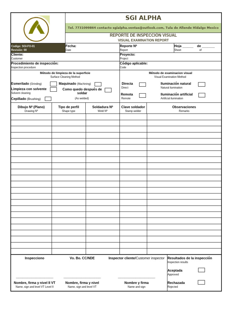 Reporte de Inspeccion Visual | PDF | Unión | Calefacción eléctrica