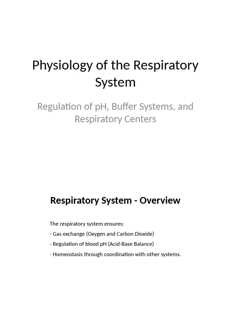Respiratory System Presentation | PDF