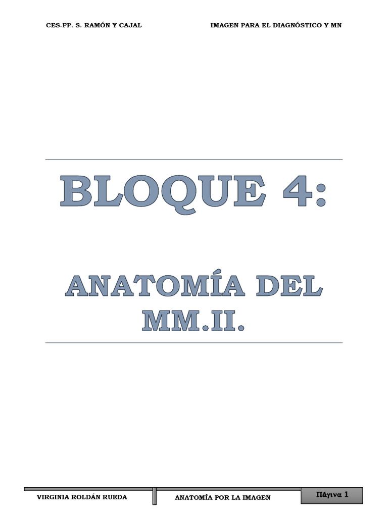 Ces-Fp. S. Ramón Y Cajal Imagen para El Diagnóstico Y MN | PDF | Articulación | Tobillo