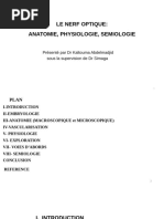 Chiasma Optique | PDF | Anatomie humaine | Système nerveux