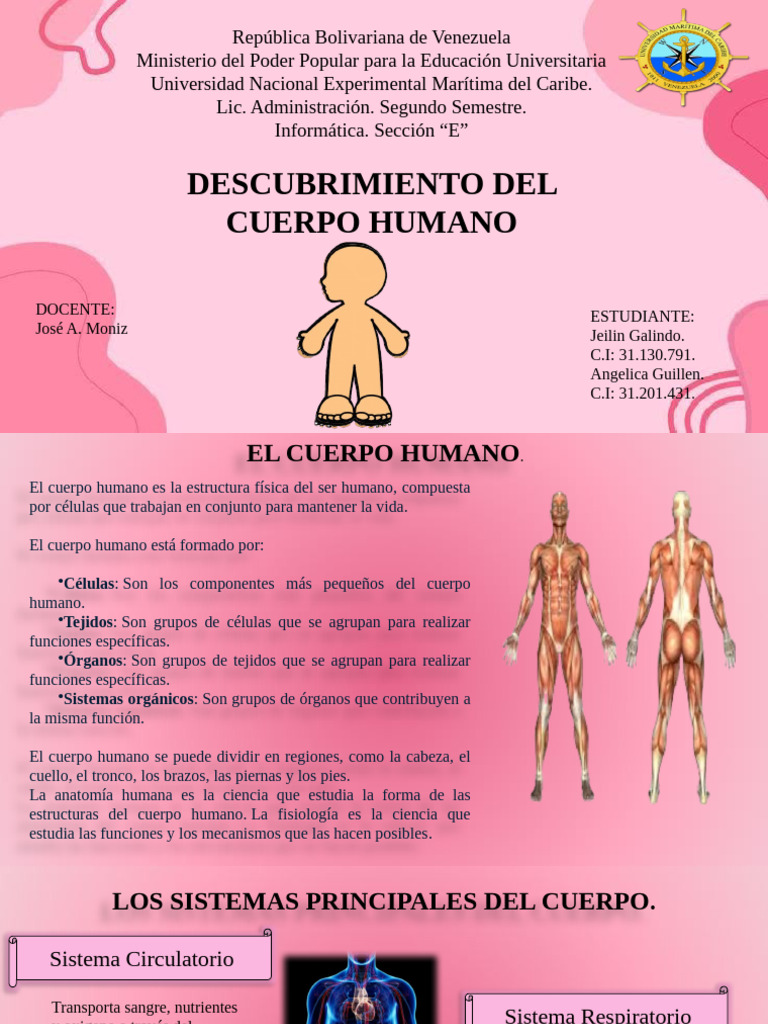 El Cuerpo Humano | PDF | Cuerpo humano | Las emociones