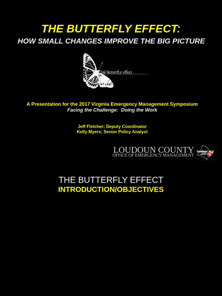 A-4 The Butterfly Effect | PDF | Business