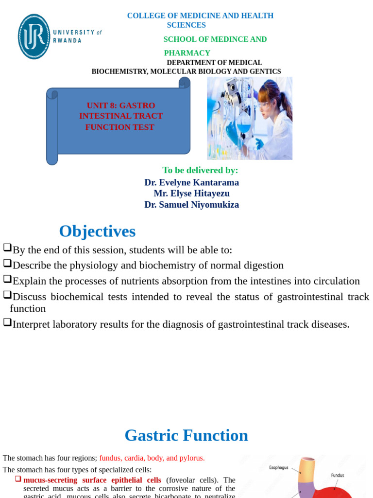 Gastrointestinal Tract Disease-Slides | PDF | Digestion | Stomach