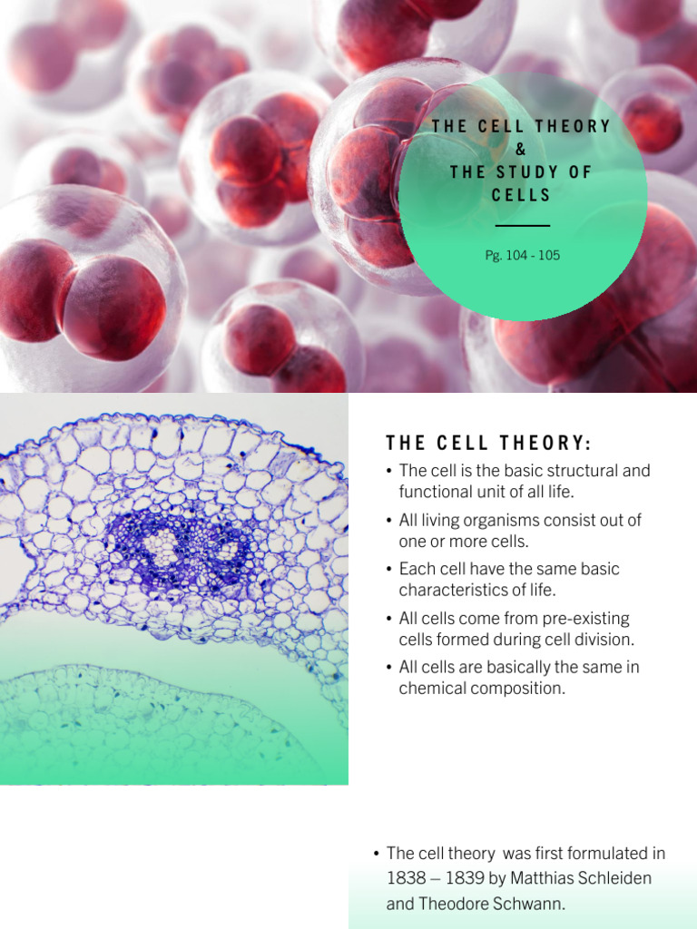 Overview of Cell Theory and Study | PDF | Microscope | Laboratory ...