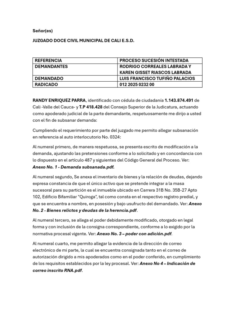 Subsanación Rad 012 2025 0232 00 | PDF | Justicia | Crimen y violencia