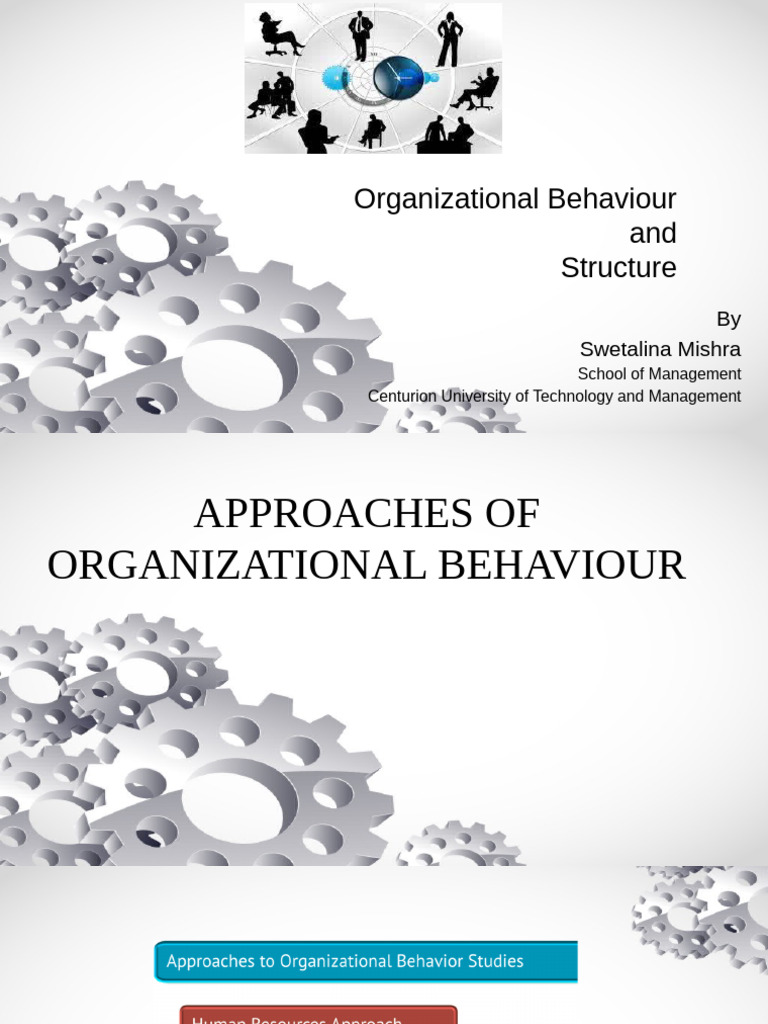 OB Module 1 Class 4 | PDF