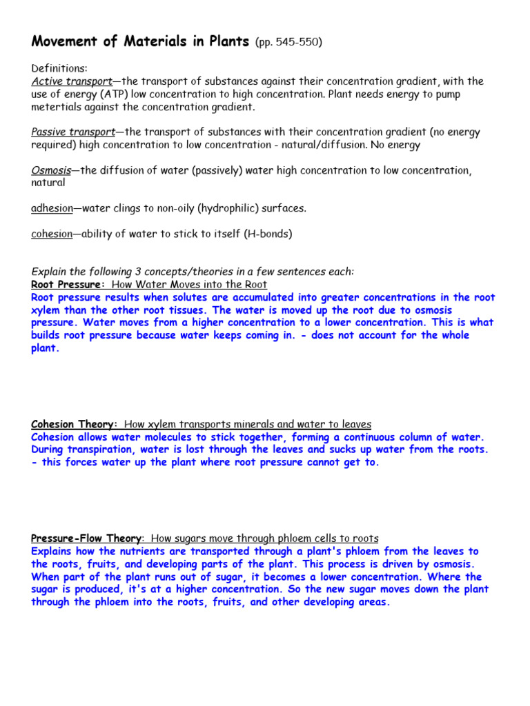 E4 - Movement of Materials in Plants (PP | PDF | Root | Leaf