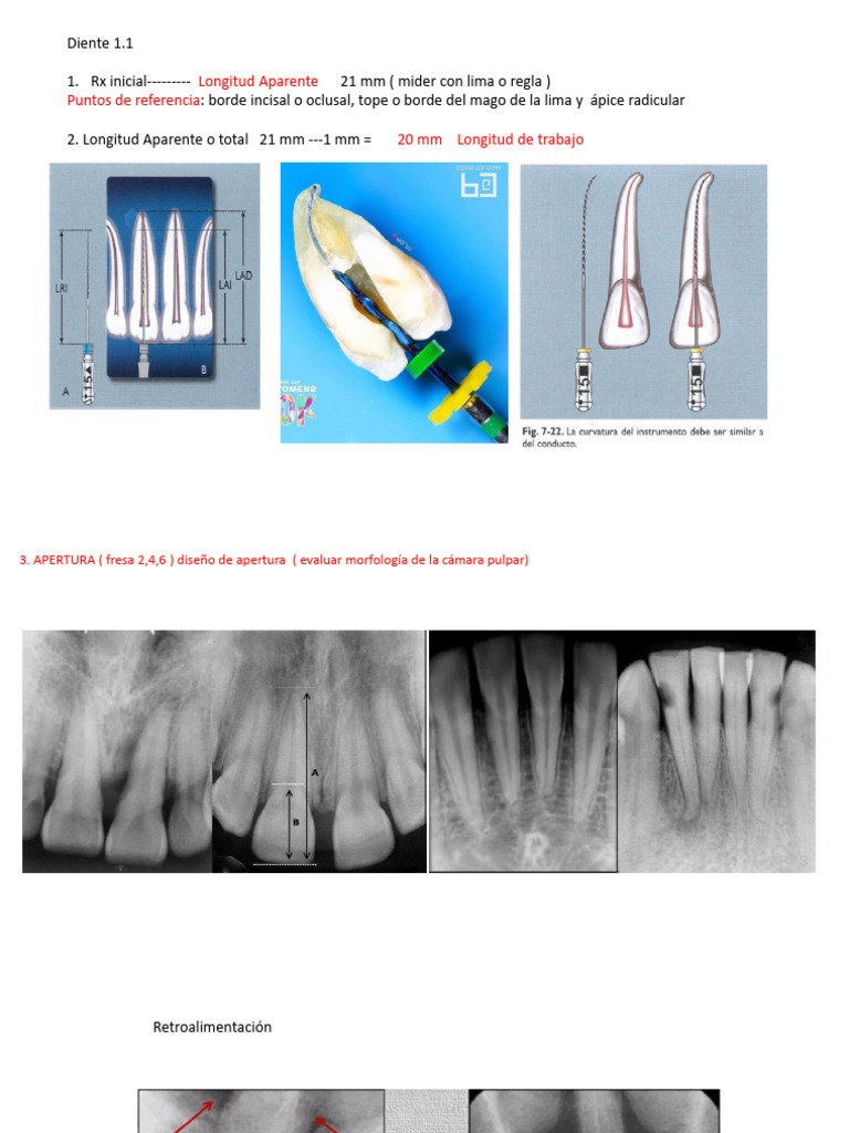 TRABAJO BIO- TMB | PDF