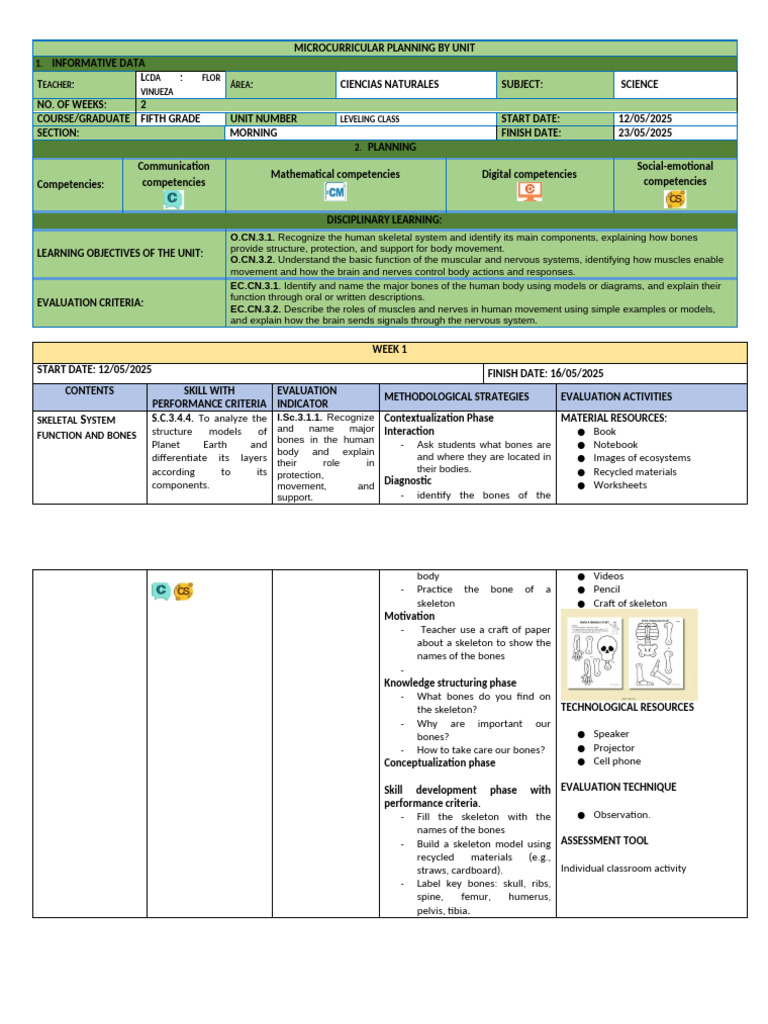 Quinto Science Leveling Class | PDF | Nervous System | Brain