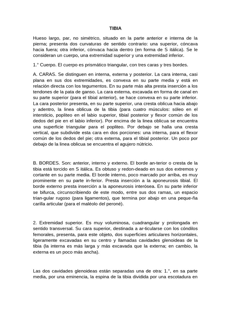 Inervación y características de la tibia | PDF | Sistema ...