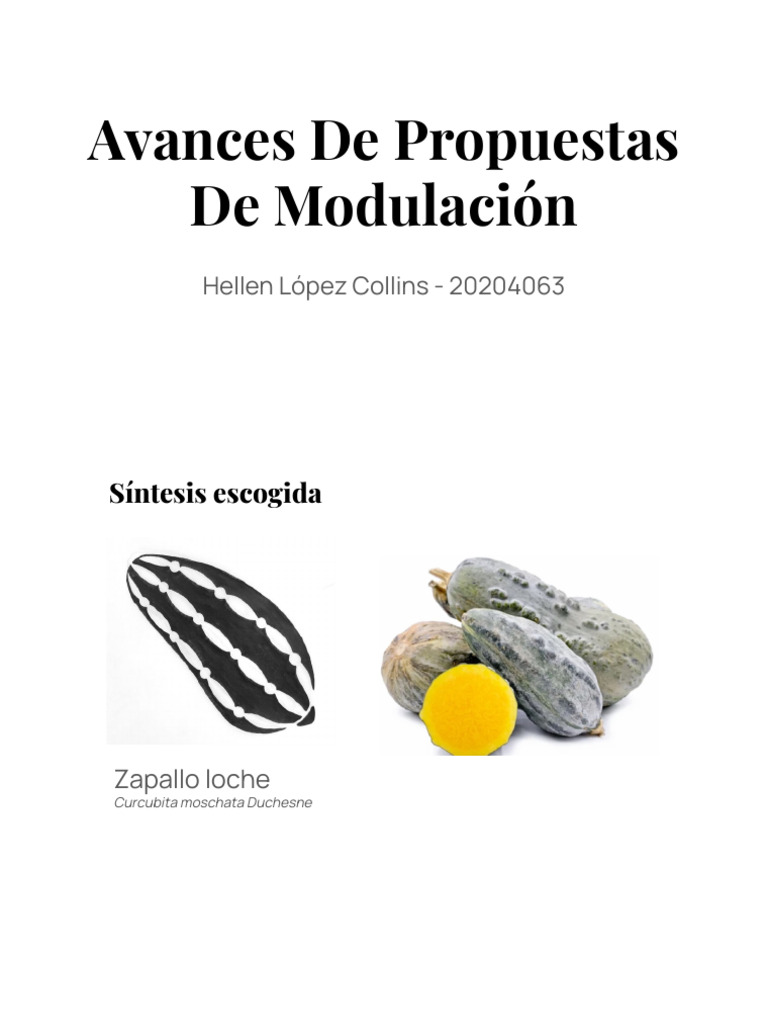 Hellen López - Propuesta de Modulación Y Color | PDF