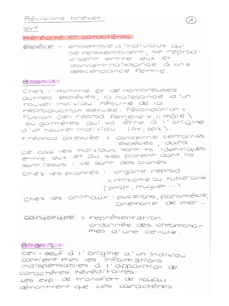 DNB SVT Révisions | PDF