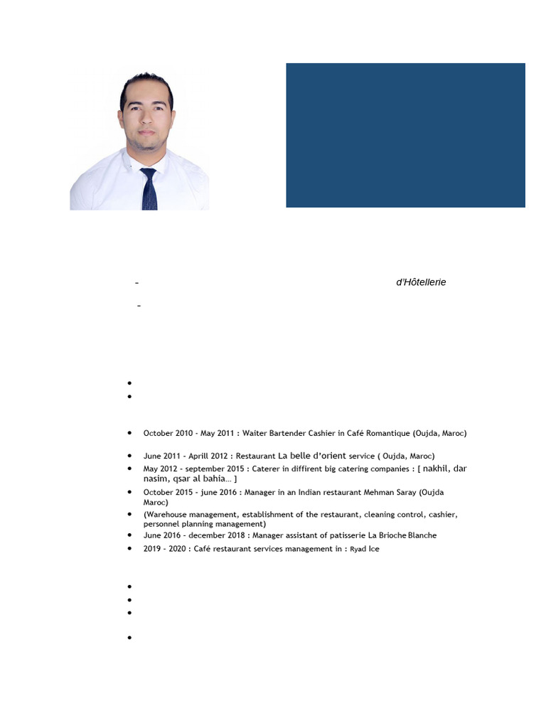 CV Anas Zeriouh | PDF