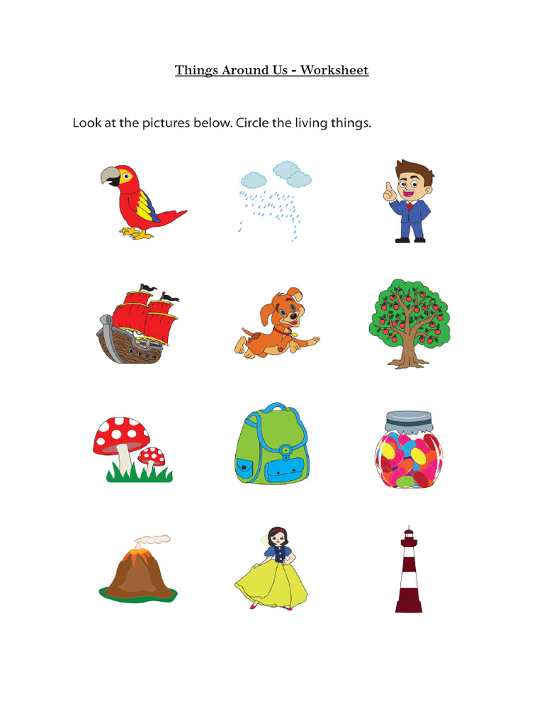 Things Around Us - Worksheet | PDF