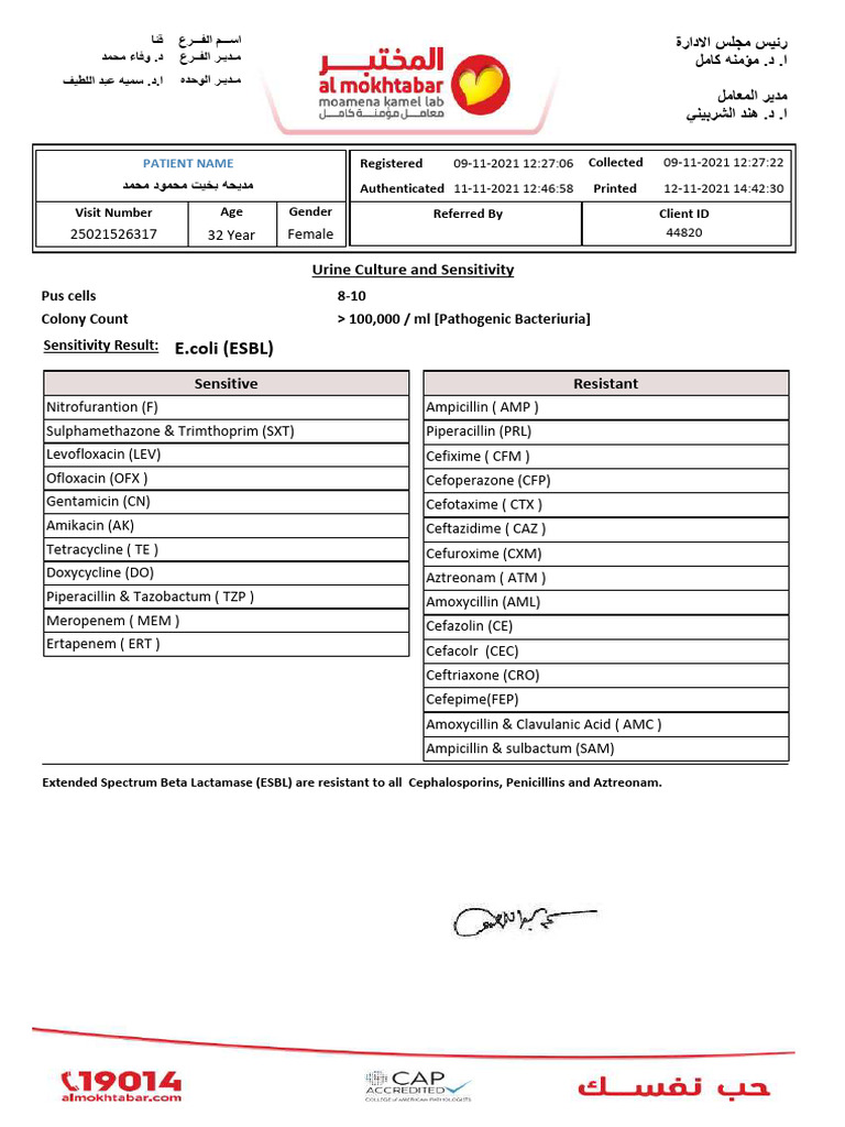 E.coli (ESBL) : Urine Culture and Sensitivity | PDF | Beta Lactamase ...