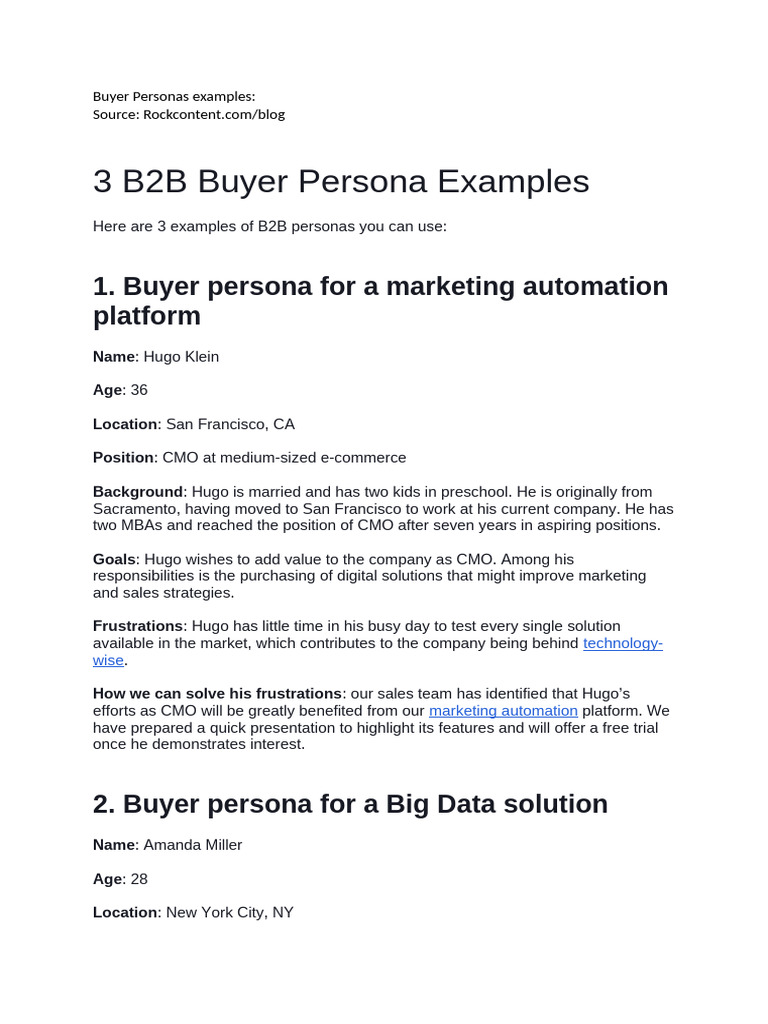 Buyer Personas examples | PDF | Marketing | Retail