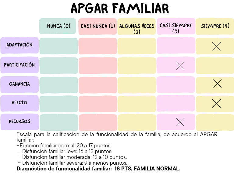 Apgar Familiae | PDF