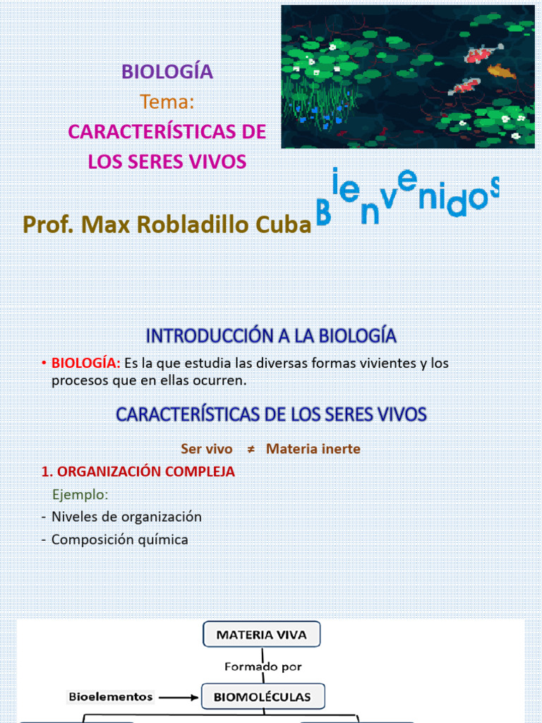 Características de los Seres Vivos | PDF | Organismos | Metabolismo