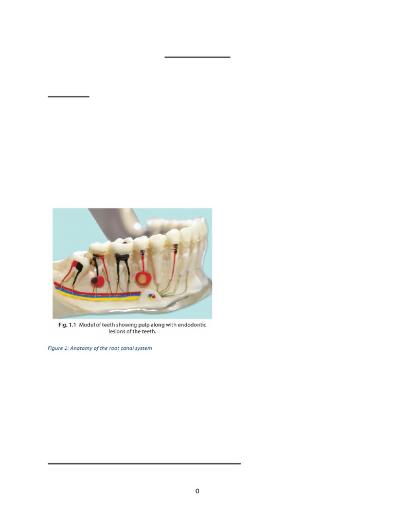Lec 1 Endodontics V 2024 | PDF | Medical Specialties | Dental Anatomy