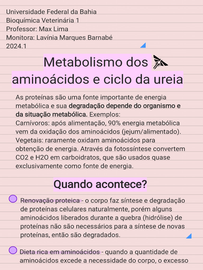 Resumo Ciclo Da Uréia | PDF