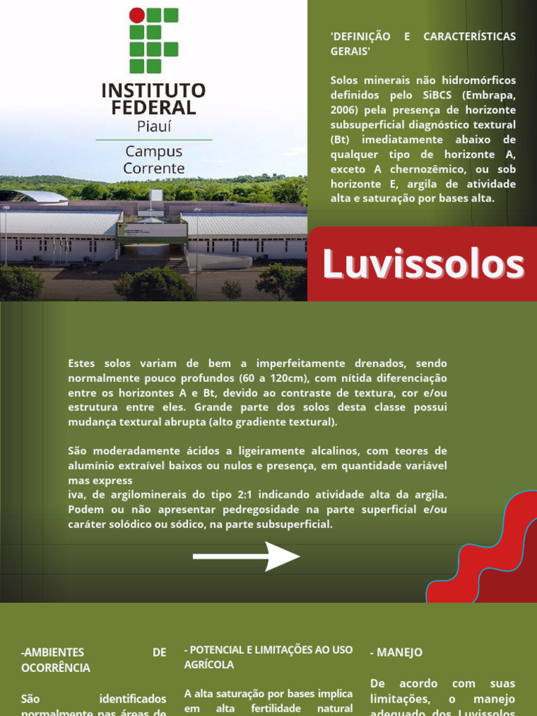 Características e Manejo dos Luvissolos | PDF | Solo | Erosão