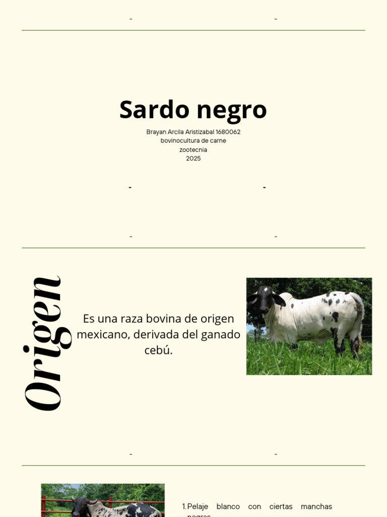 Raza Sardo Negro: Características y Origen | PDF