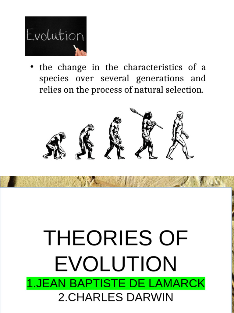 Evolution Students | PDF | Natural Selection | Evolution
