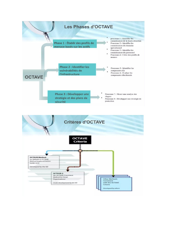 OCTAVE Risk Assessment Overview | PDF | Risk Assessment | Information ...