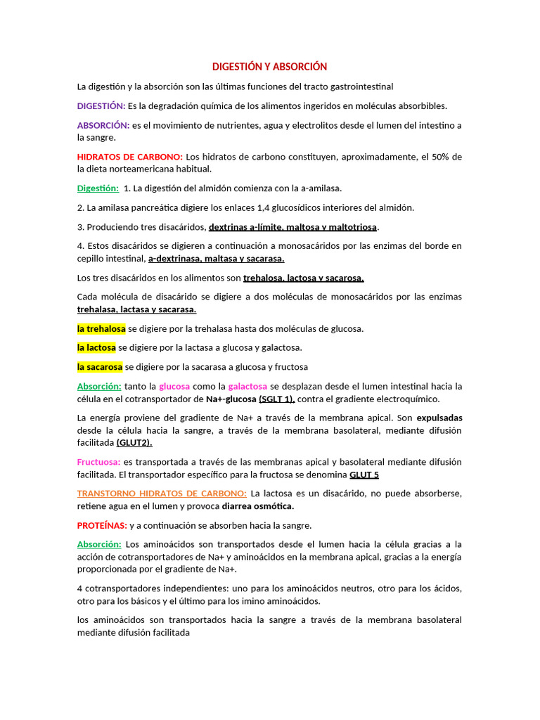 Digestión y Absorción | PDF | Digestión | Biología Celular