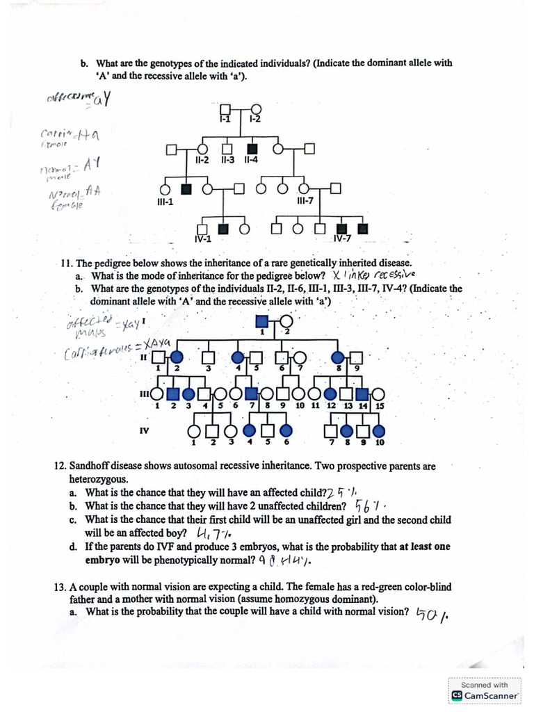 Pedigrees and Probability Page 2 | PDF