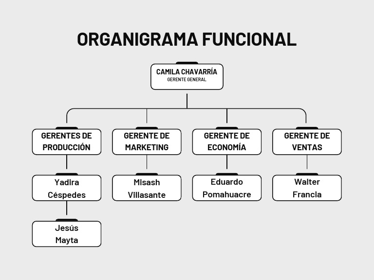 Organigrama Funcional | PDF